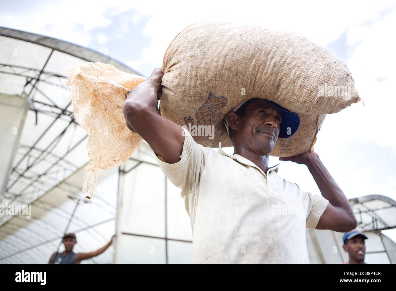 Workers in cocoa processing factory, Dominican Republic Stock Photo - Alamy