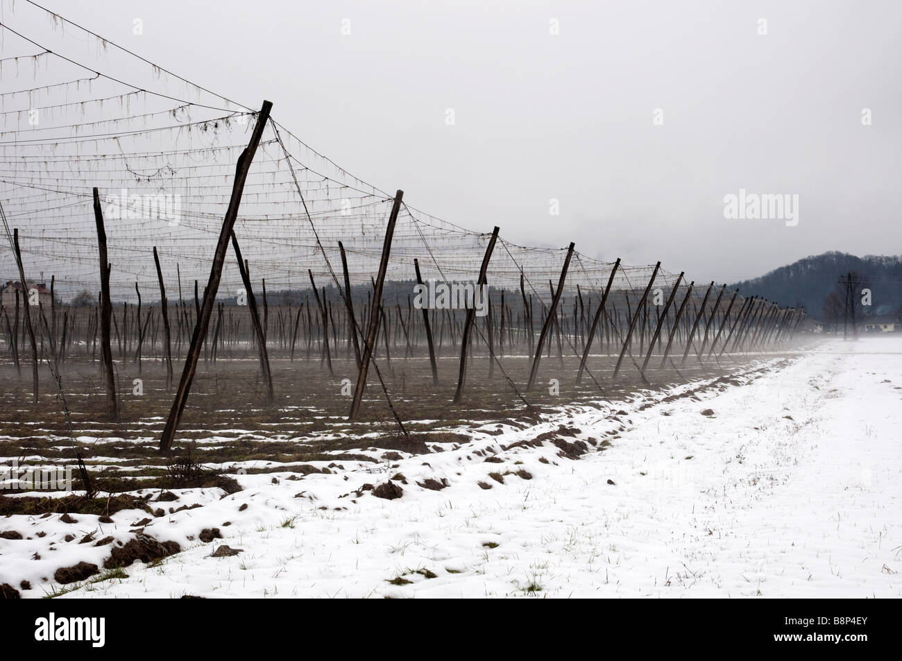 Dull day fog hi-res stock photography and images - Alamy