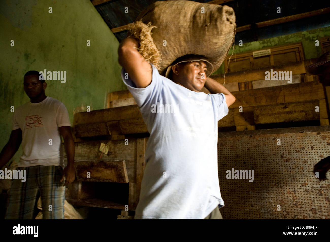 Cocoa Processing Stock Photos & Cocoa Processing Stock Images - Alamy