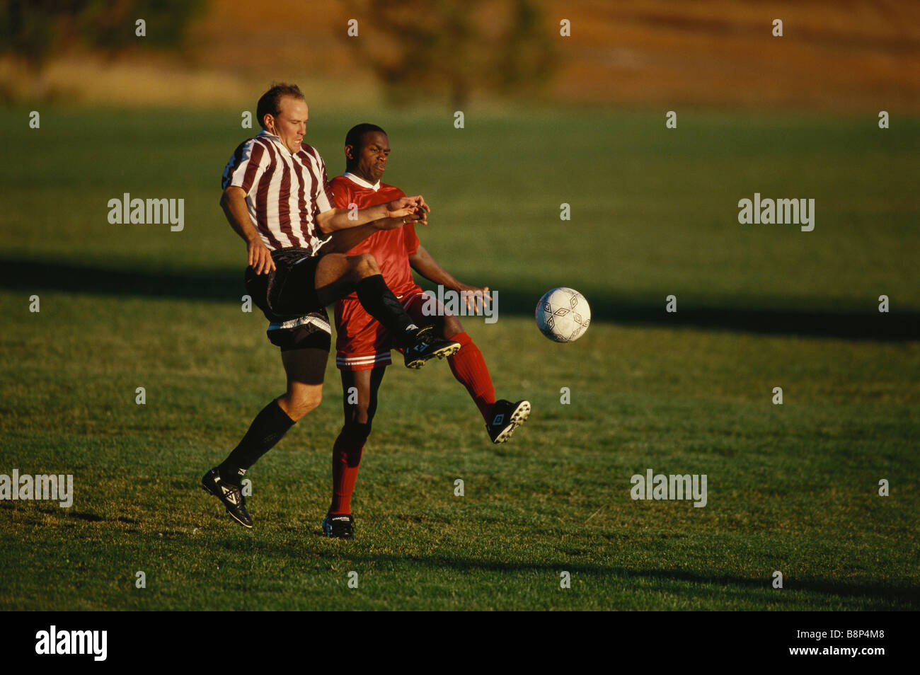 Male fighting hi-res stock photography and images - Alamy