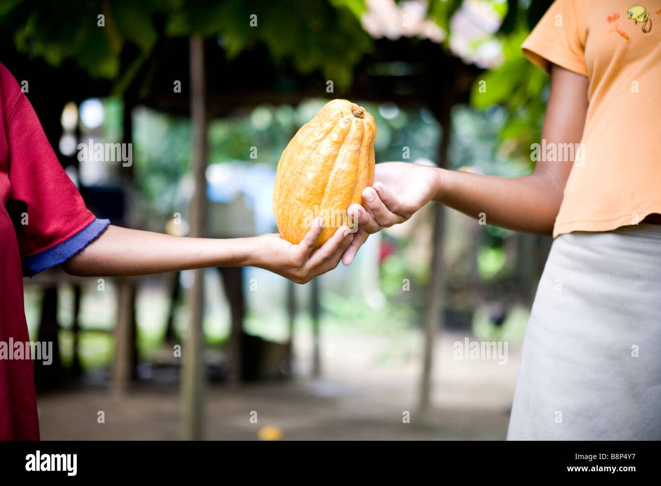 children with a cocoa pod, Dominican Republic Stock Photo - Alamy