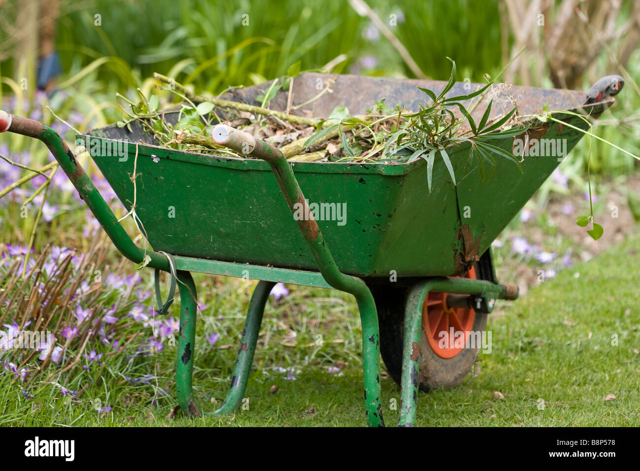 Green wheelbarrow in garden Stock Photo - Alamy