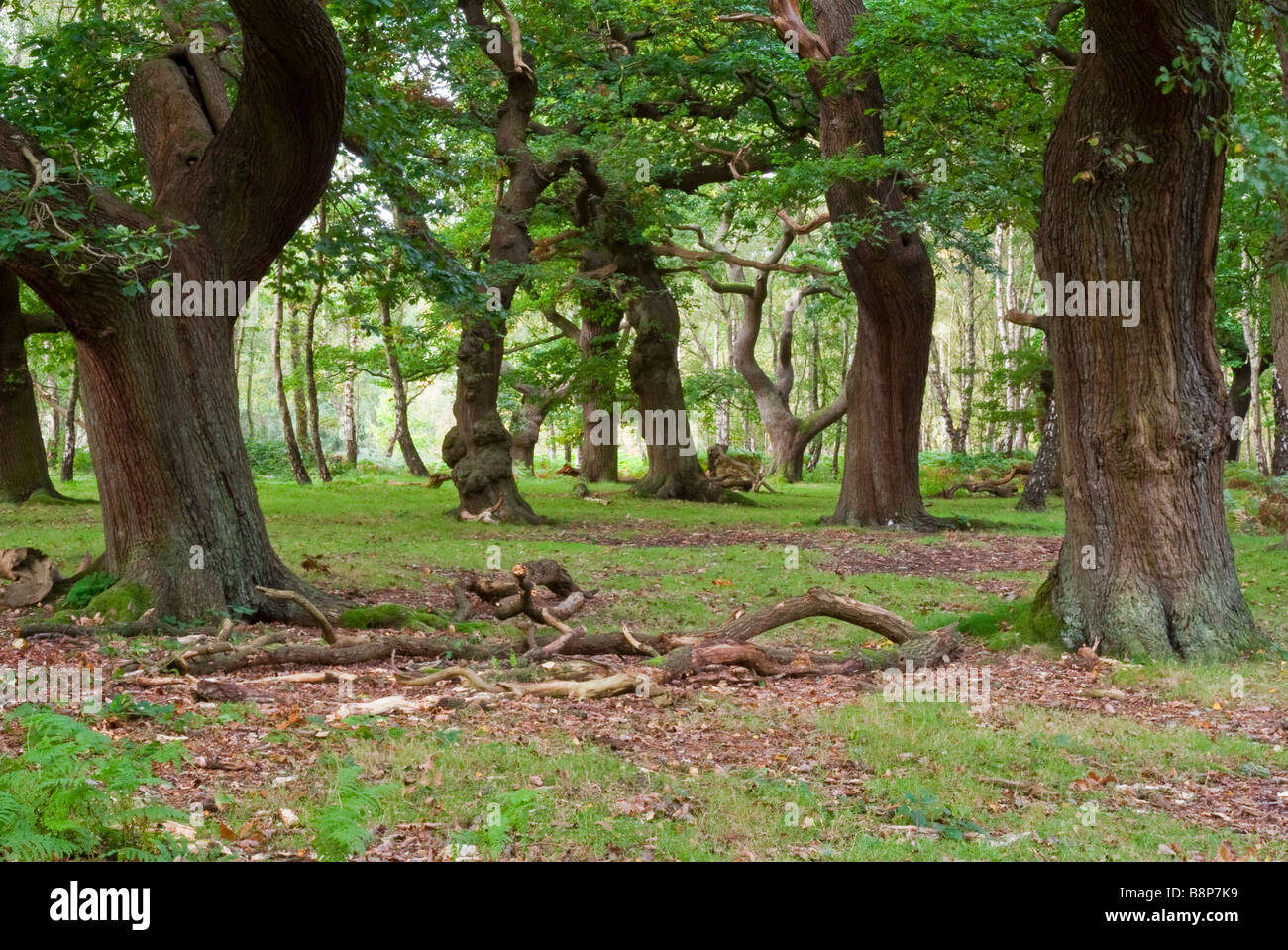 Brocton hi-res stock photography and images - Alamy