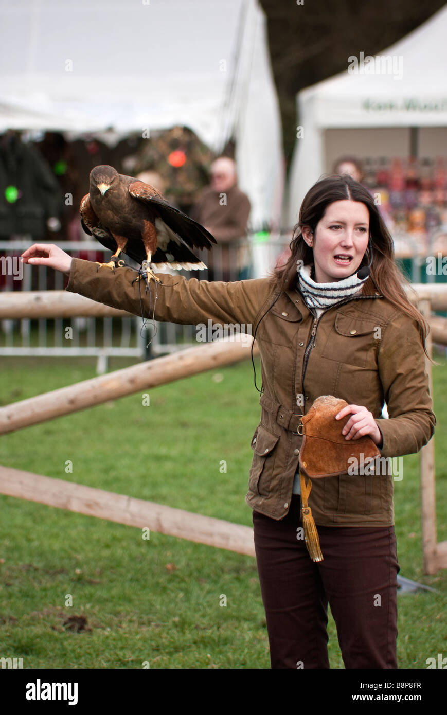 pretty female falconer with harris hawk on her arm Stock Photo - Alamy