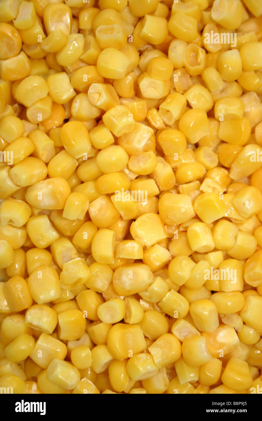 abstract photo of sweetcorn Stock Photo - Alamy