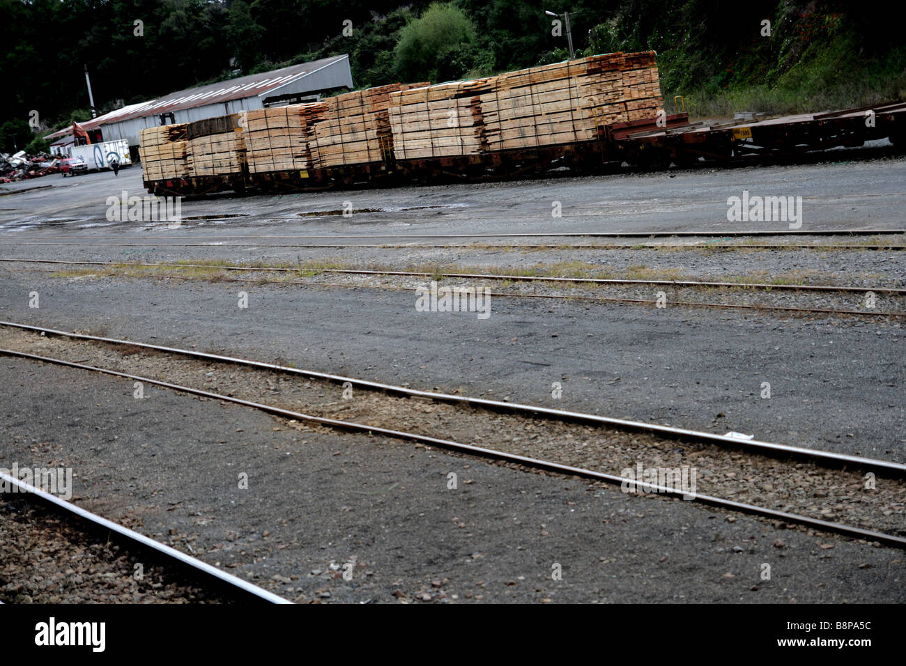 "Timber in stockyard Stock Photo - Alamy