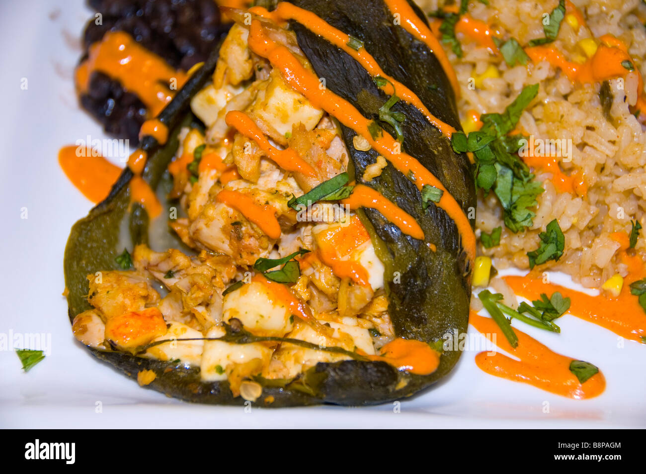 Chili chicken relleno black beans rice closeup food detail San Antonio ...