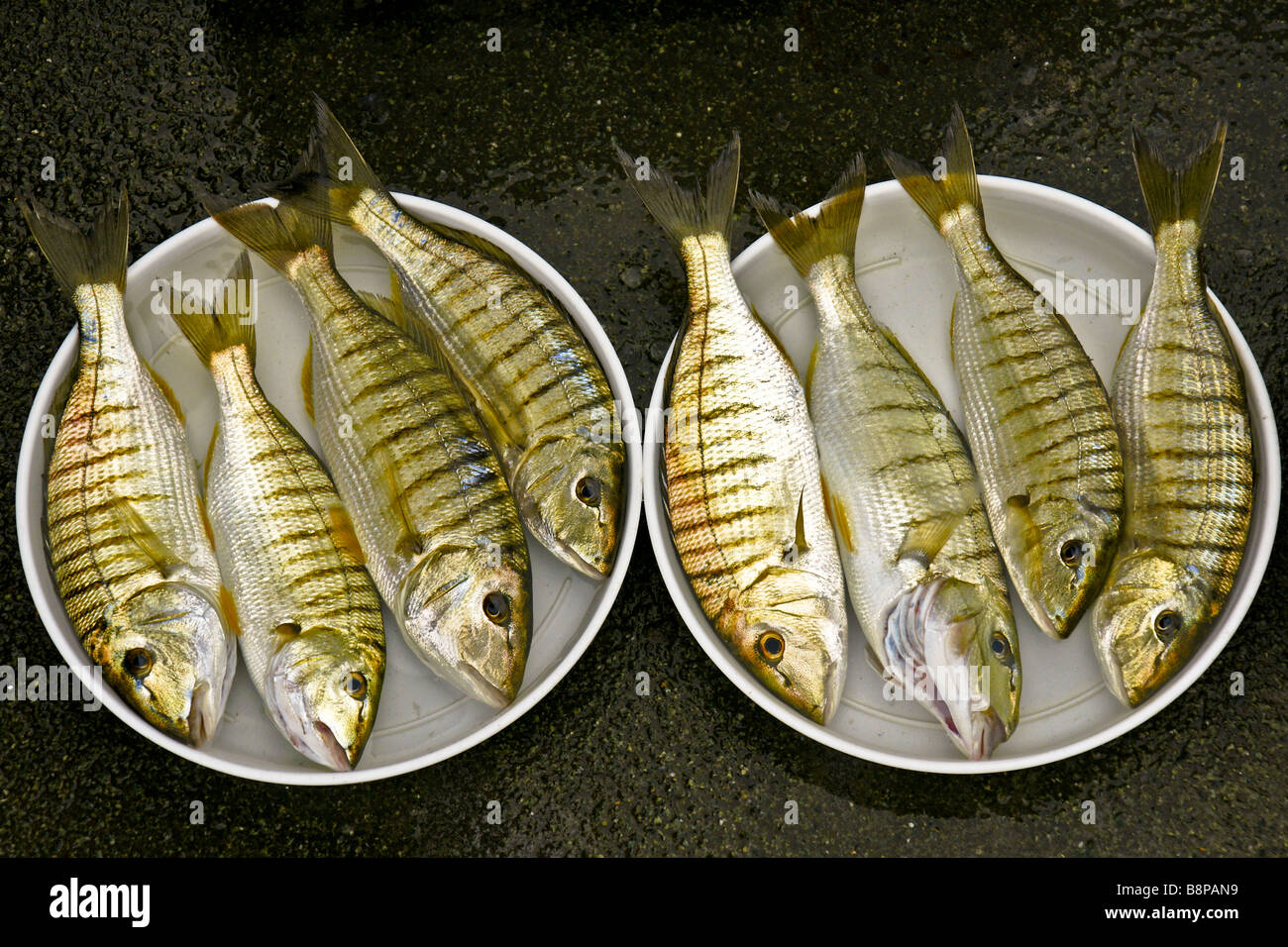 Fish plates hi-res stock photography and images - Alamy