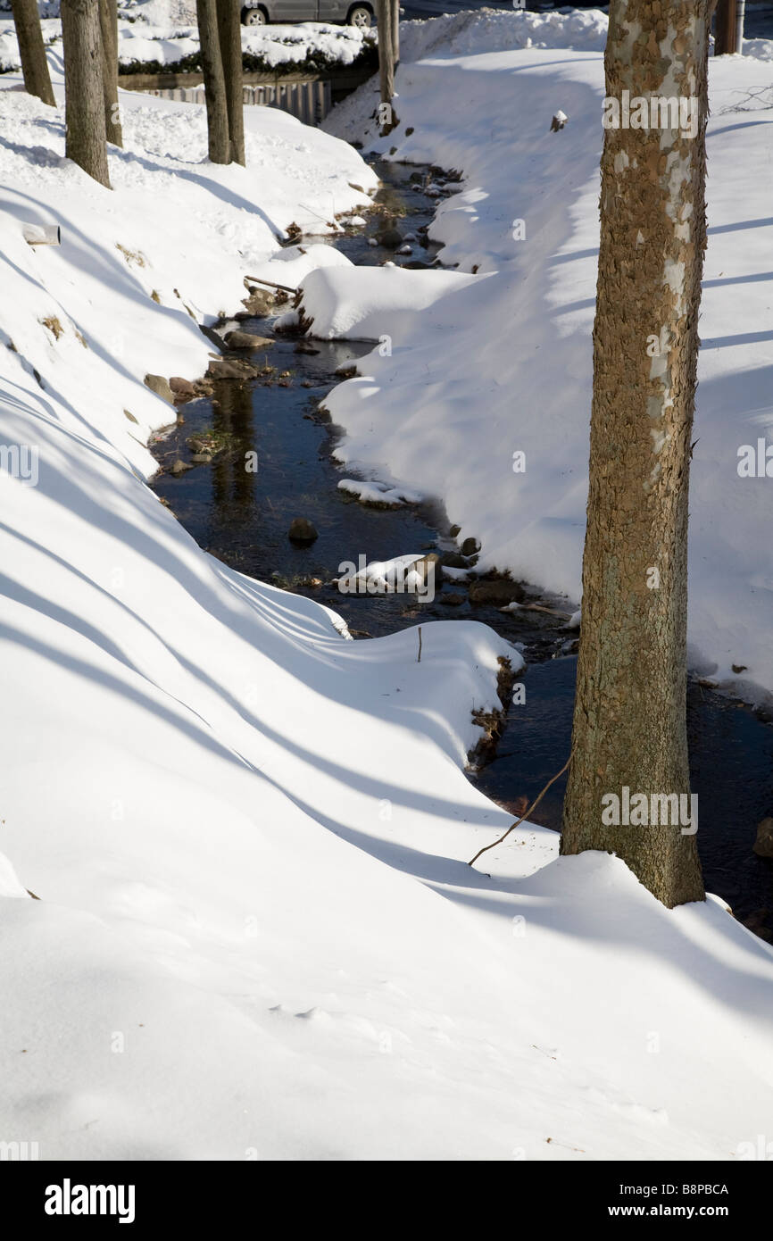 Stream through woodland hi-res stock photography and images - Alamy