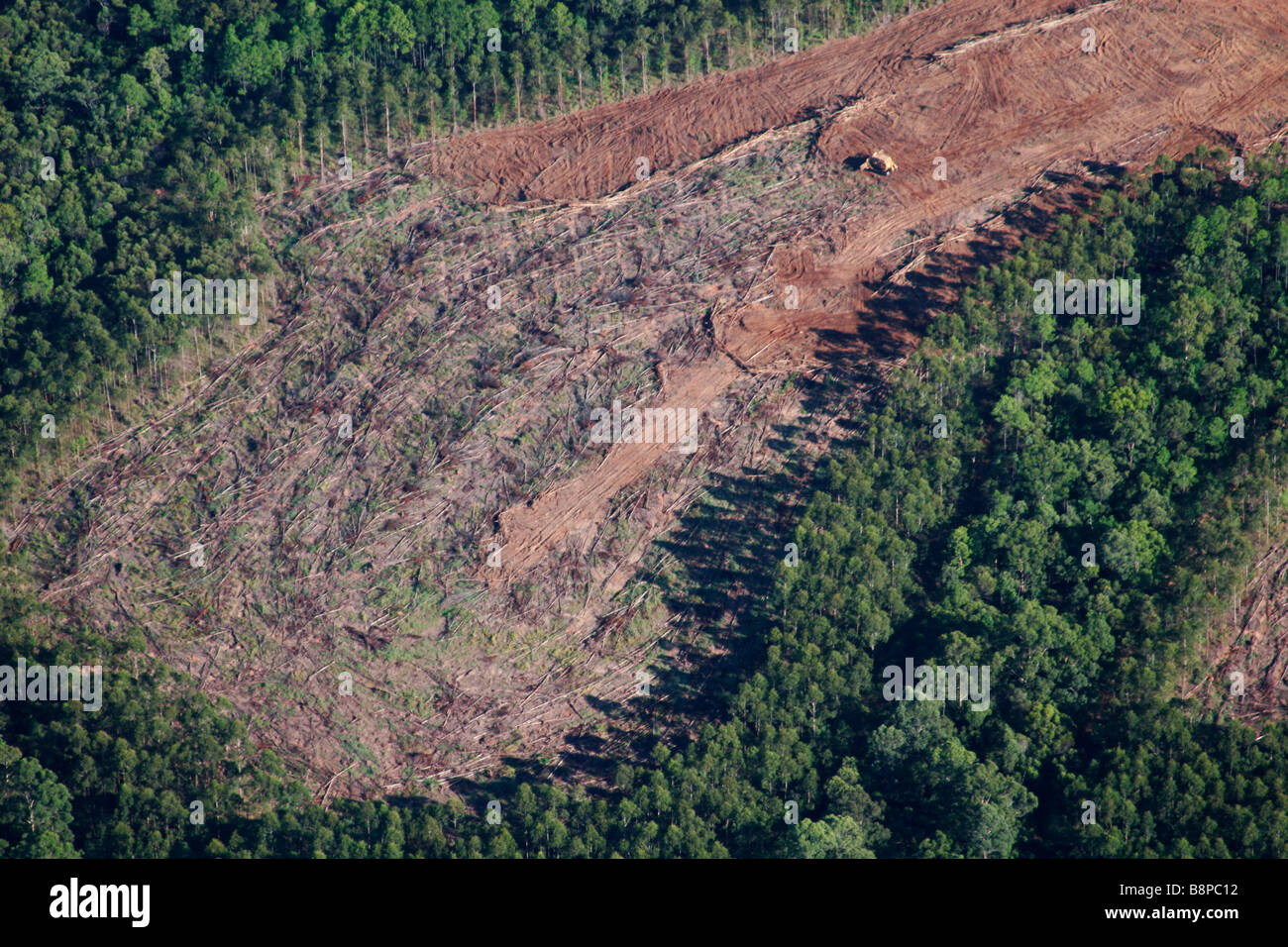Deforestation hi-res stock photography and images - Alamy