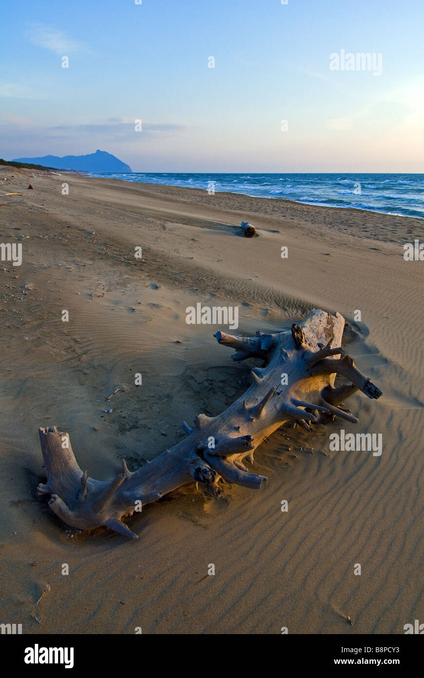 Dunes in the Circeo National Park in Italy Stock Photo - Alamy