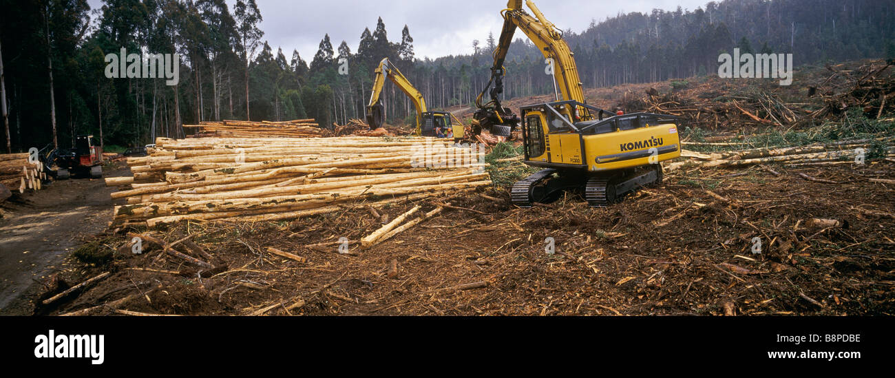 Logging coupes man logger worker heavy machinery equipment hi-res stock ...