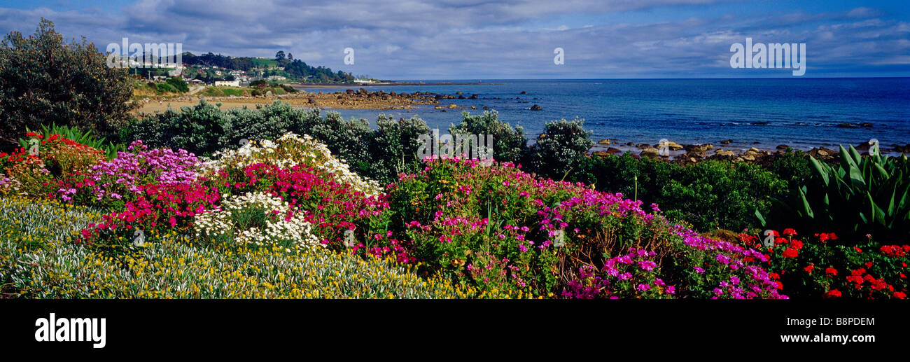 Northern tasmania hi-res stock photography and images - Alamy