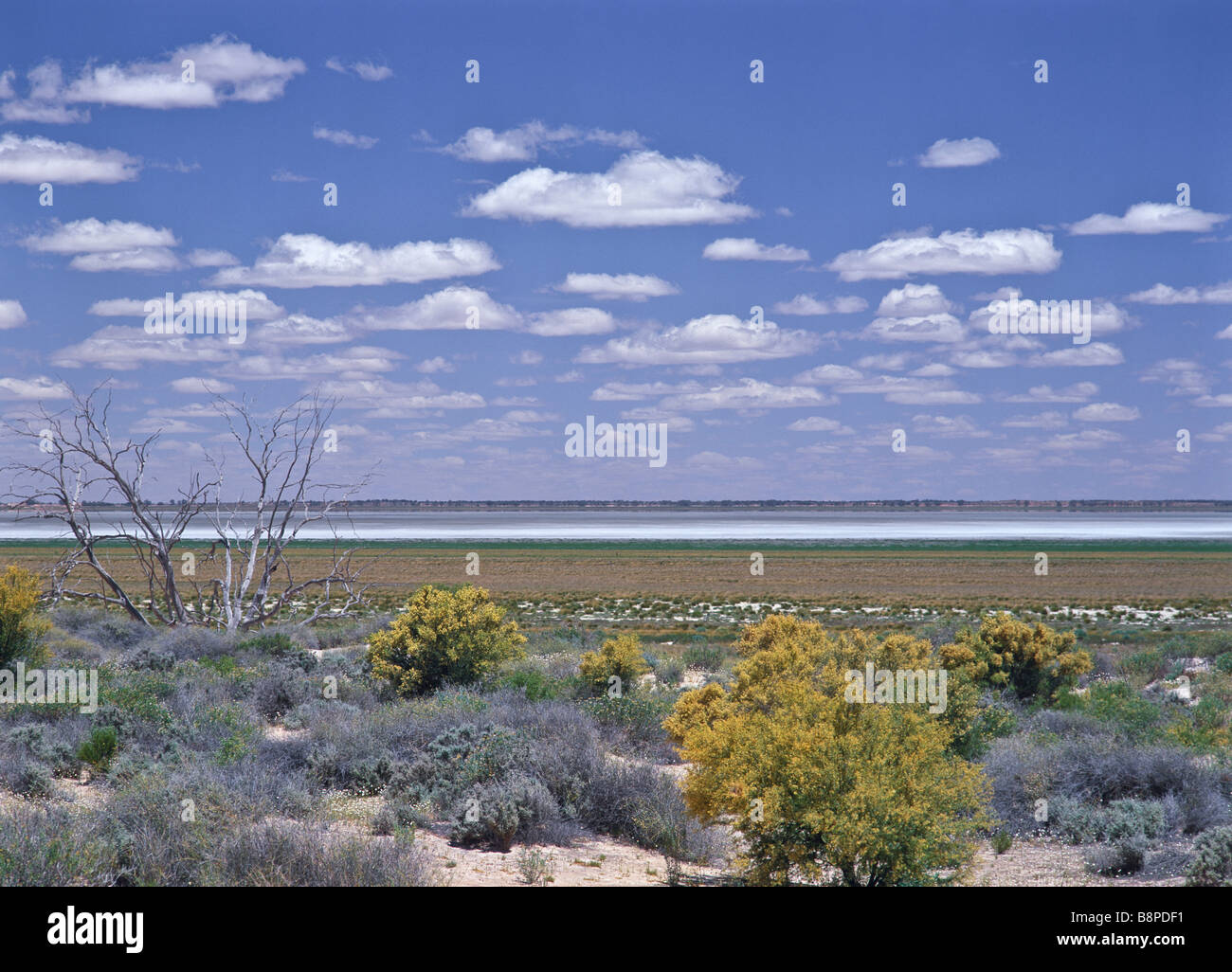 Dry lake, outback Australia Stock Photo - Alamy