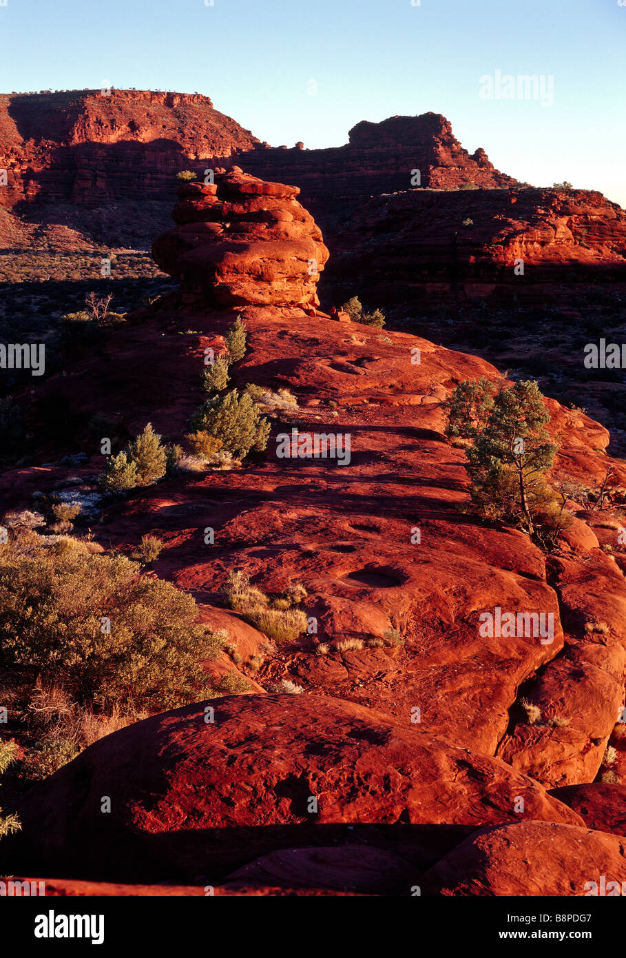 Palm Valley, Central Australia Stock Photo - Alamy