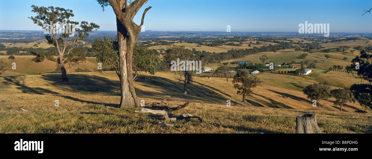 Australian rural scenes hi-res stock photography and images - Alamy