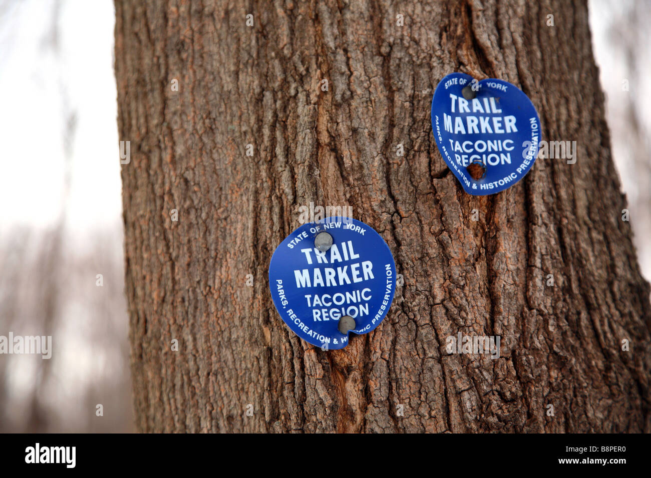 Hiking trail markers posted on a tree, near Cold Spring, NY, USA Stock ...