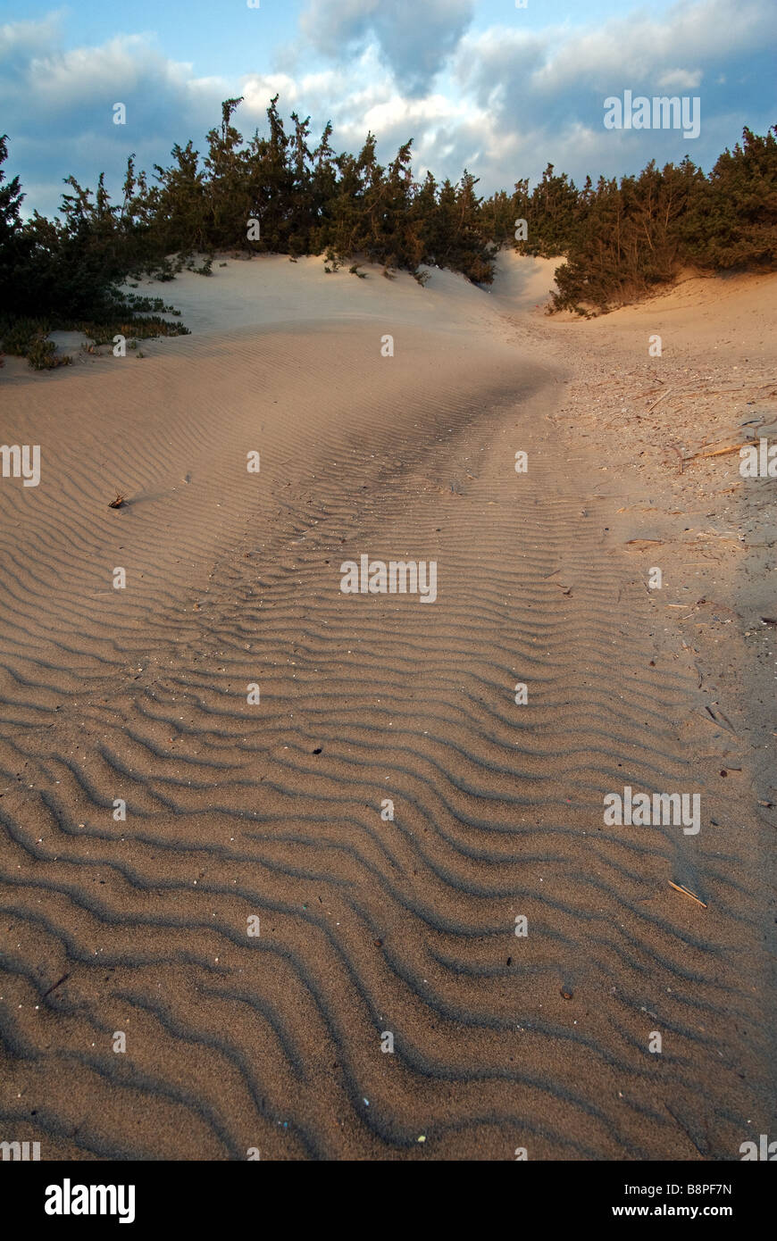 Circeo national park hi-res stock photography and images - Alamy