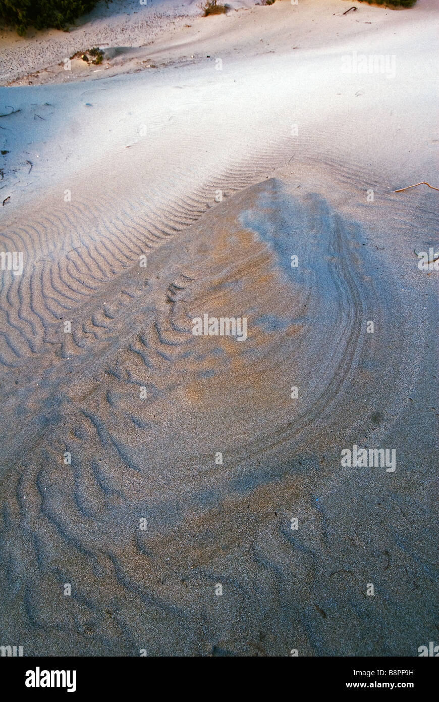 Dunes in the Circeo National Park in Italy Stock Photo - Alamy