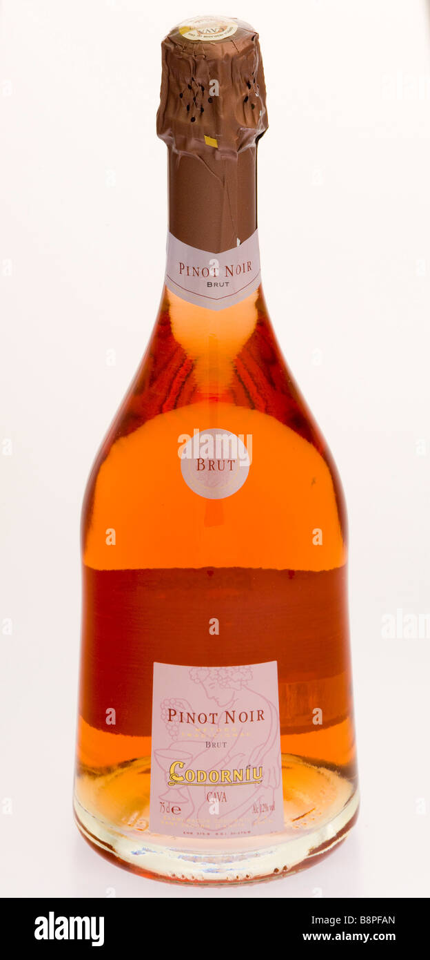 Spanish cava Codorníu Stock Photo - Alamy