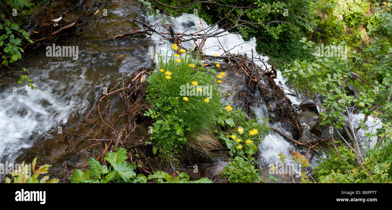 Summer mountain waterfall. Two shots stitch image Stock Photo - Alamy