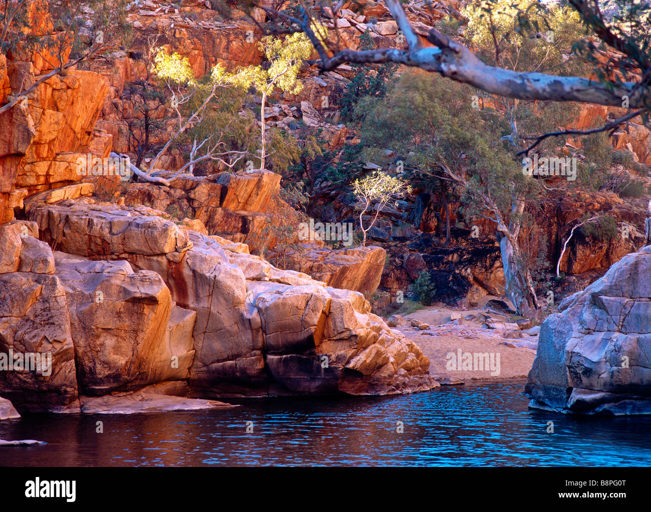 Outback waterhole, Larapinta Trail, Central Australia Stock Photo - Alamy