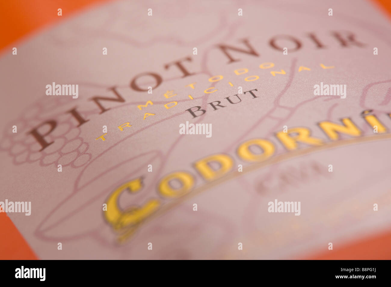 cava bottle s label Codorníu Spain Stock Photo - Alamy