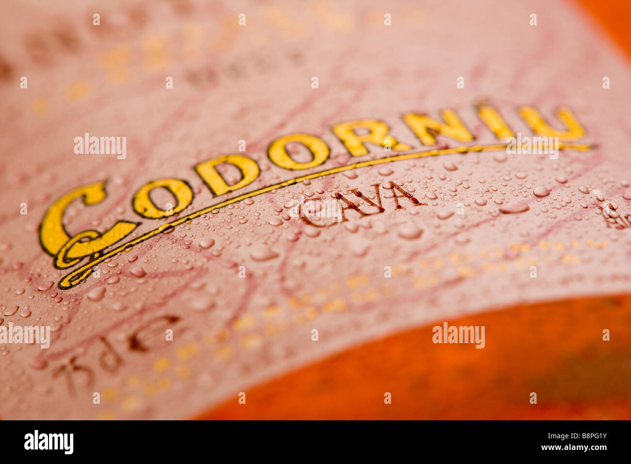 cava bottle s label Codorníu Spain Stock Photo - Alamy
