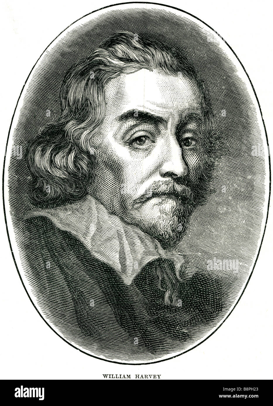 William Harvey (1 April 1578 – 3 June 1657) was an English physician ...