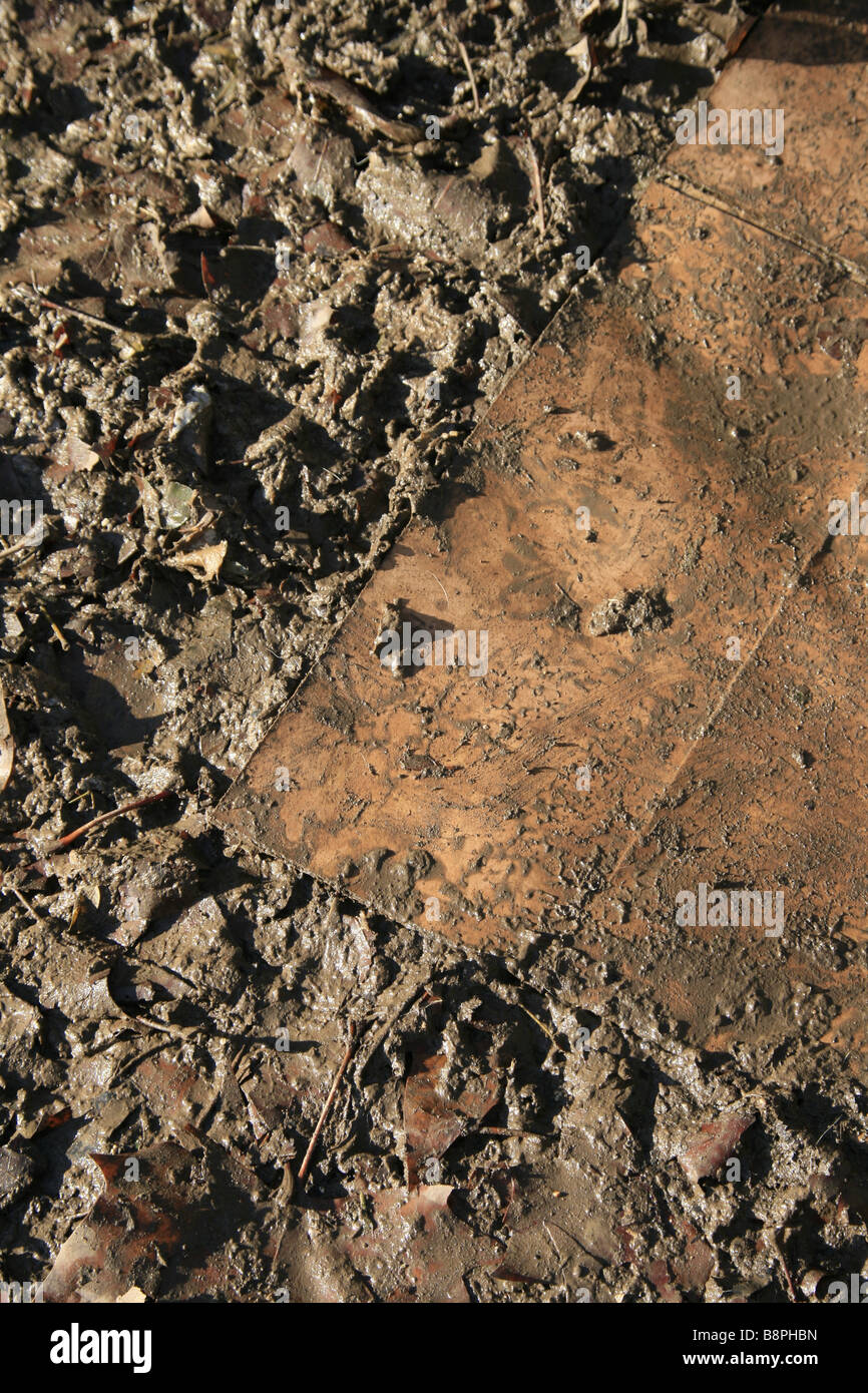 old piece of cardboard on wet muddy footpath in country Stock Photo - Alamy