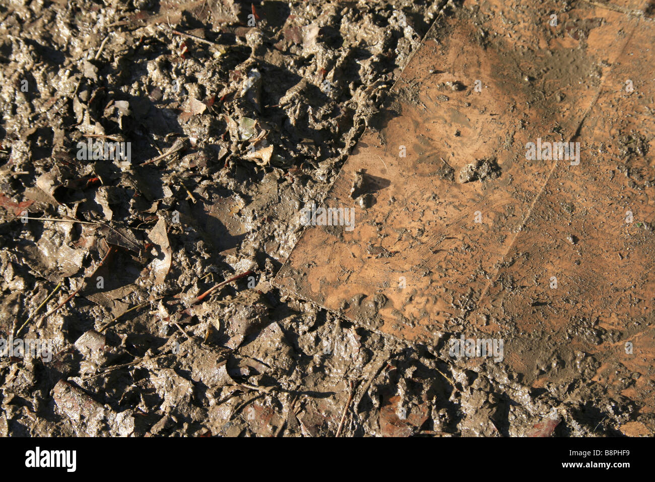 Wet cardboard box hi-res stock photography and images - Alamy