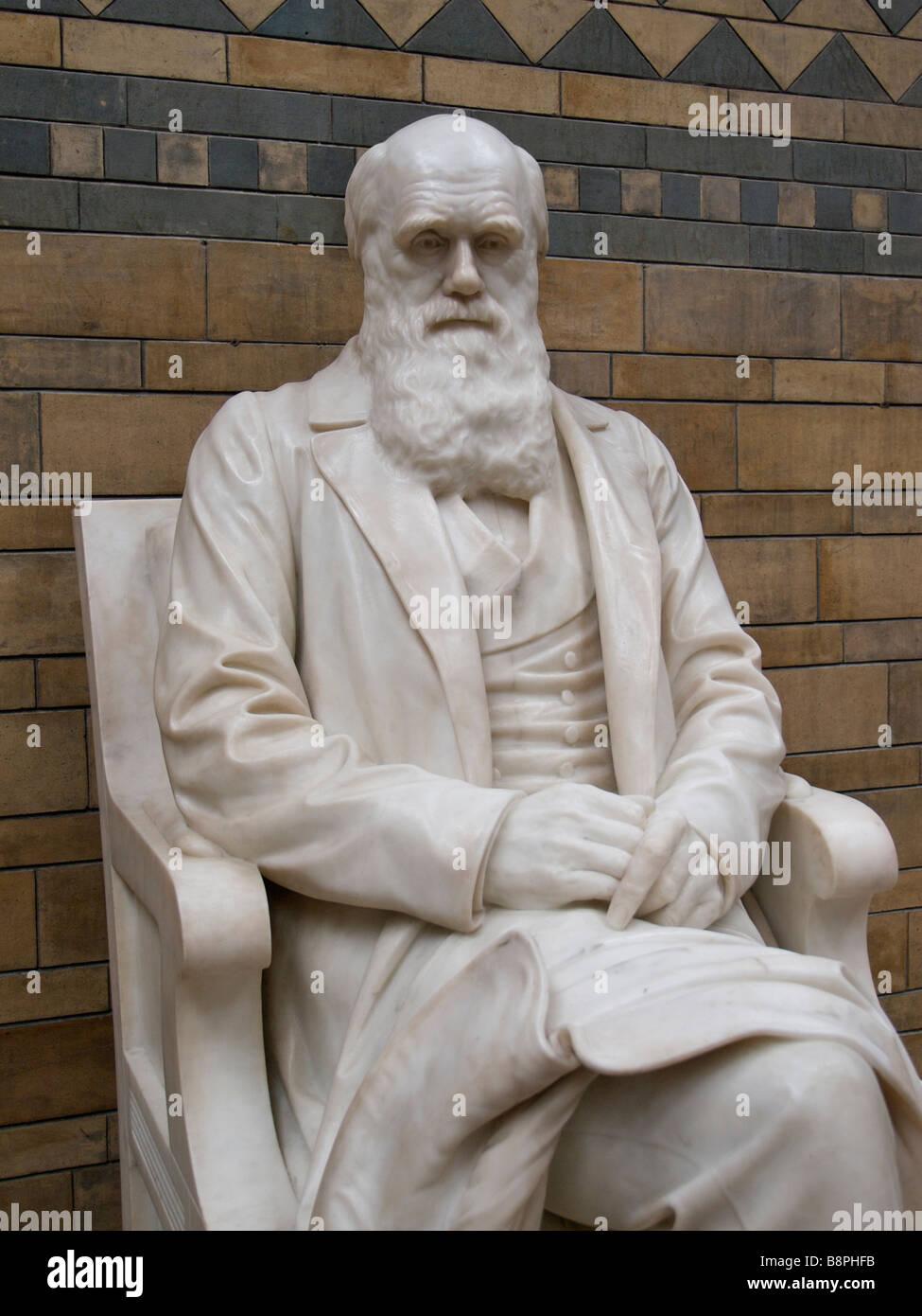 Portrait of Charles Darwin Natural History Museum London UK Stock Photo ...