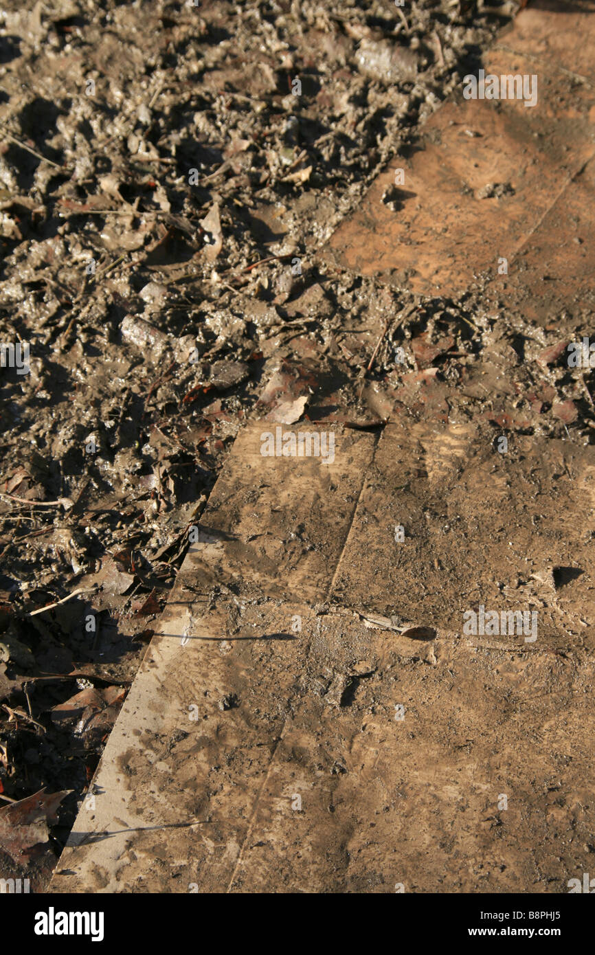 Wet cardboard garden hi-res stock photography and images - Alamy