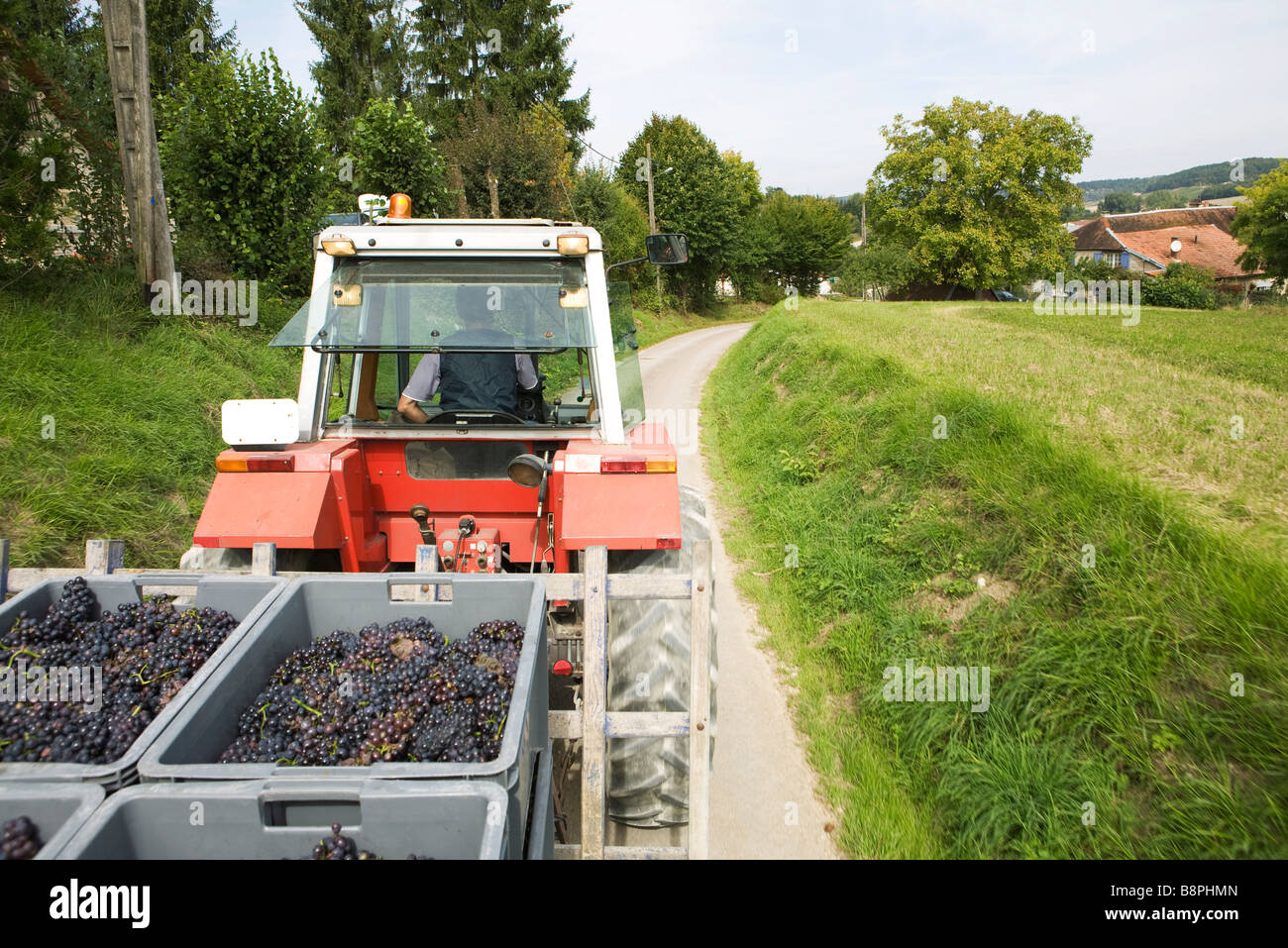 Transporting grapes hi-res stock photography and images - Alamy
