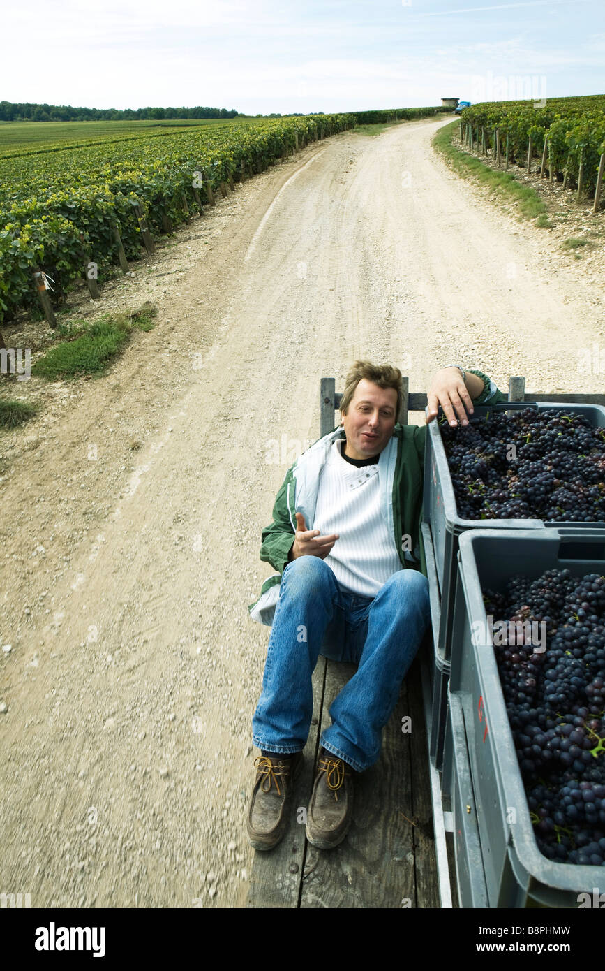 France, Champagne-Ardenne, Aube, man sitting beside bins of grapes on ...