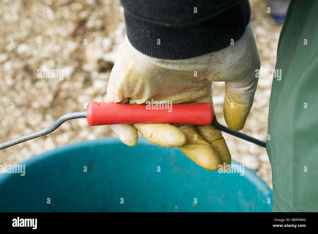 Gloved hand carrying bucket, cropped Stock Photo - Alamy