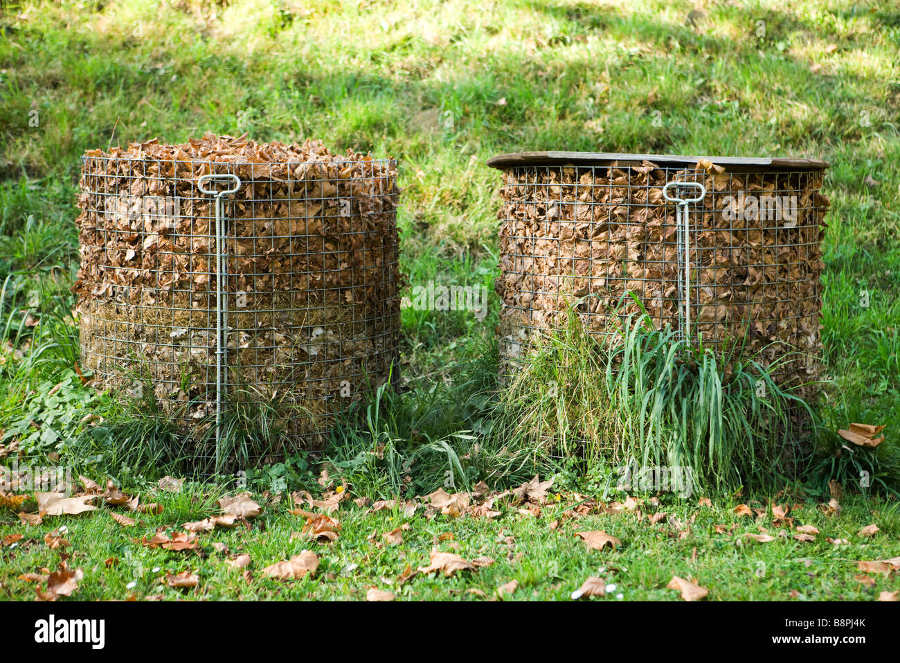 Vegetation bins hi-res stock photography and images - Alamy
