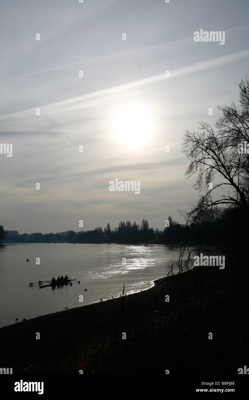 Elms hi-res stock photography and images - Alamy