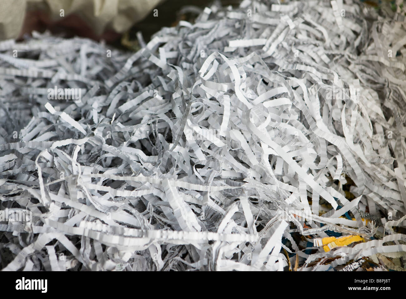 Shredded paper, close-up Stock Photo - Alamy