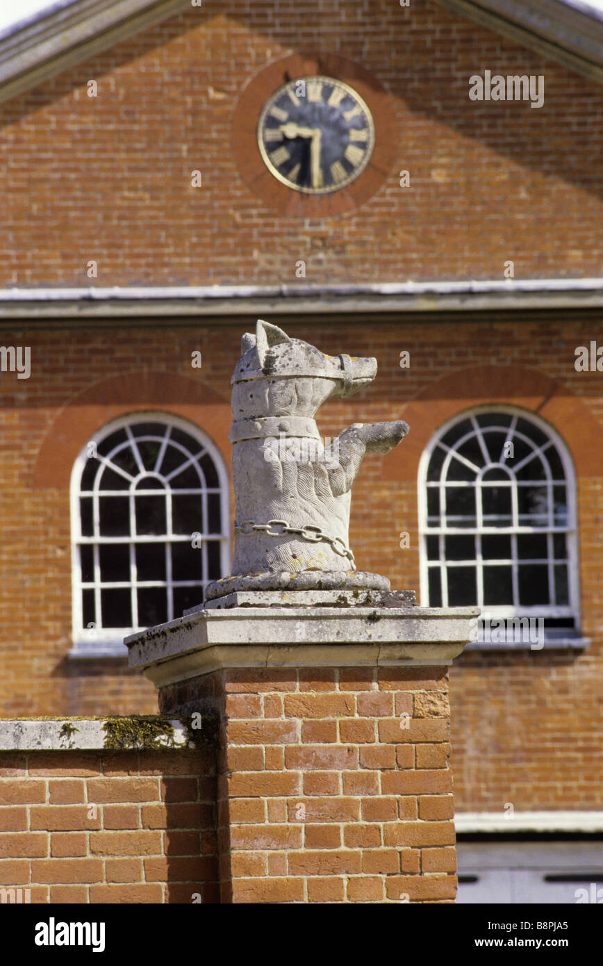 Muzzled bear hi-res stock photography and images - Alamy