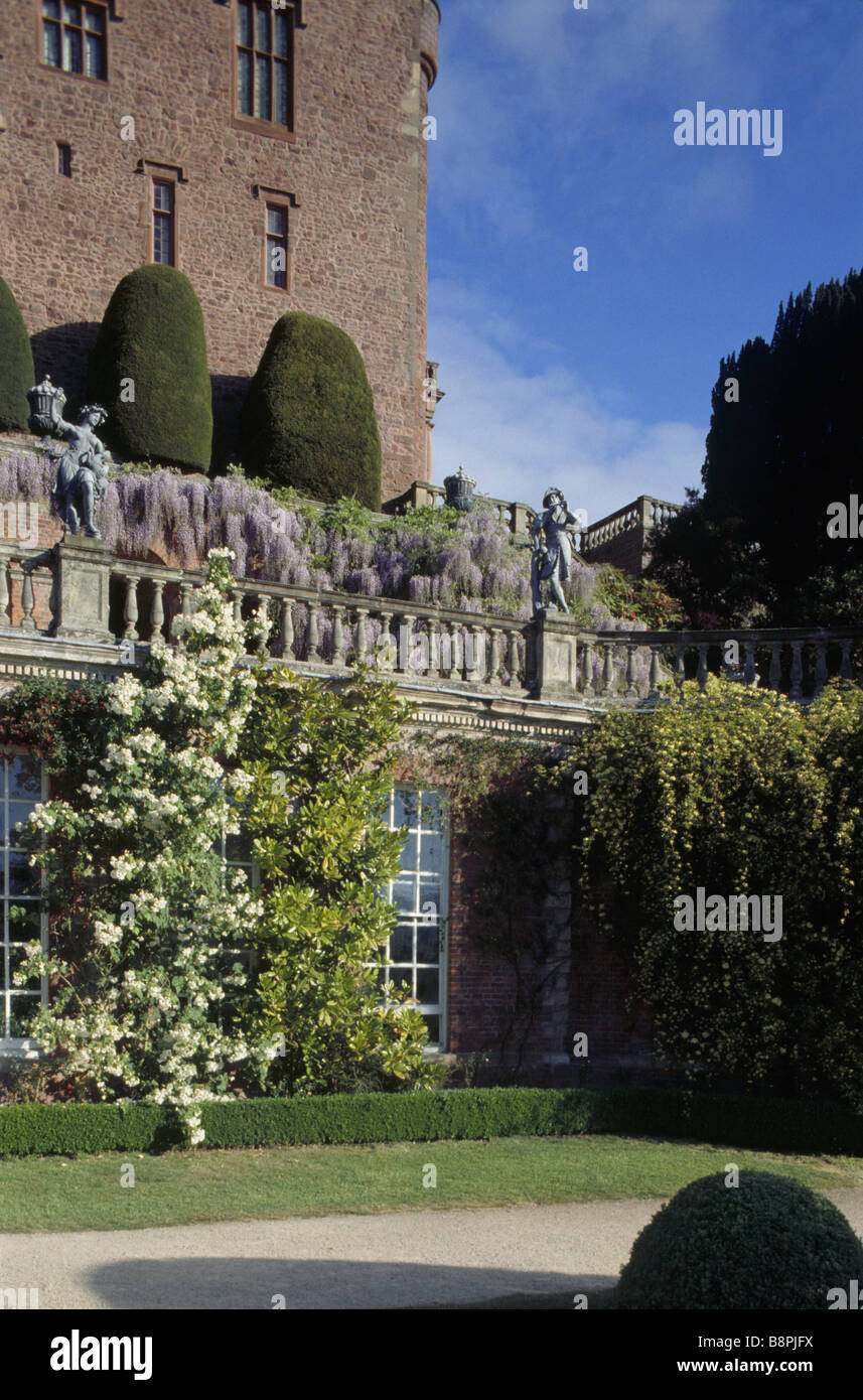 Detail of the terrace at Powis showing topiary statuary and wisteria in ...