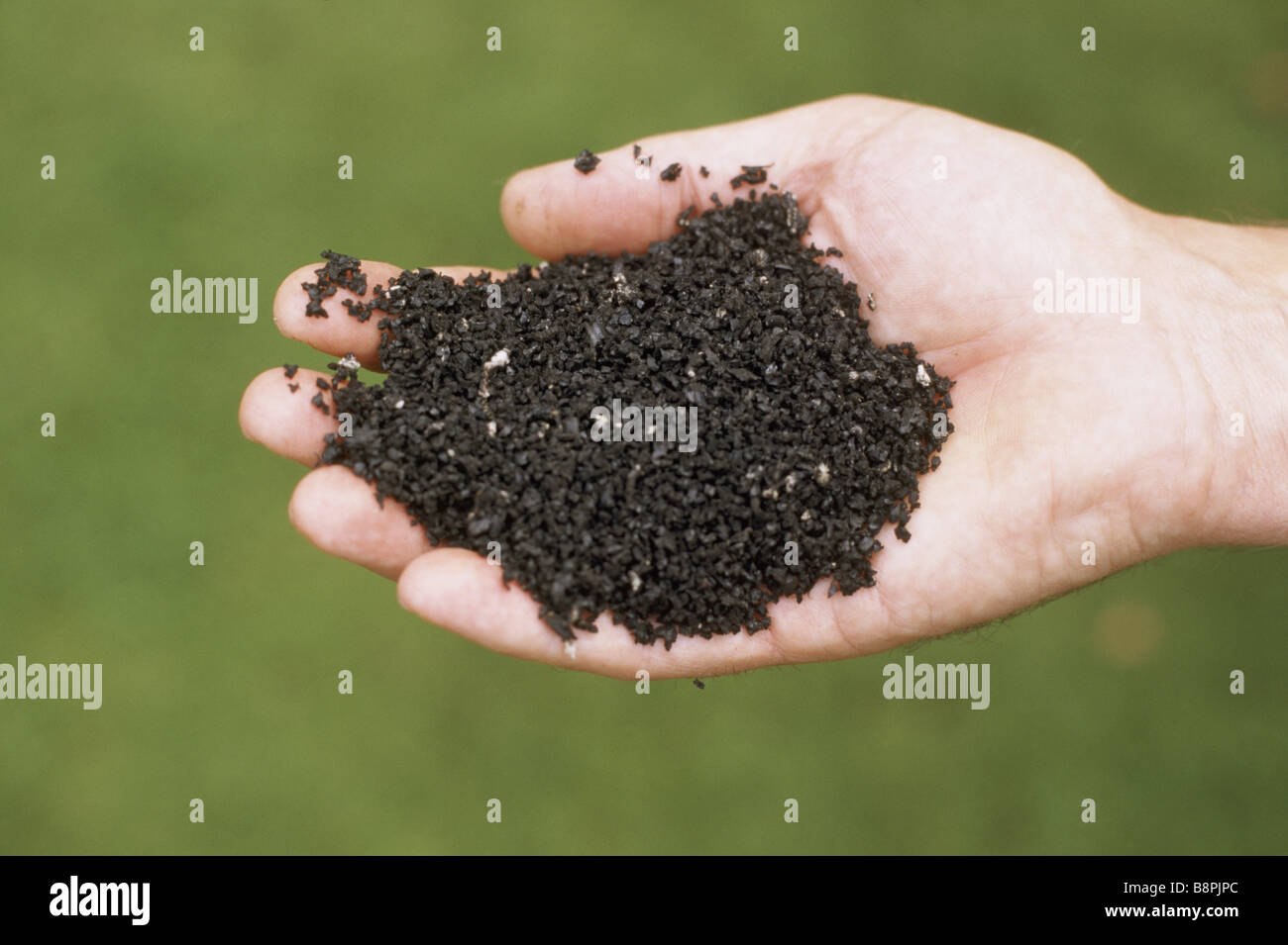 August model released hi-res stock photography and images - Alamy