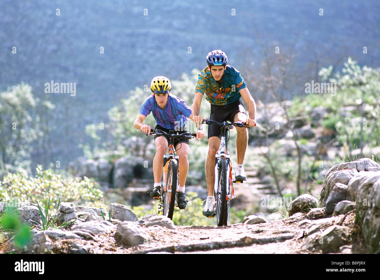 Two men riding mountain bikes Stock Photo - Alamy