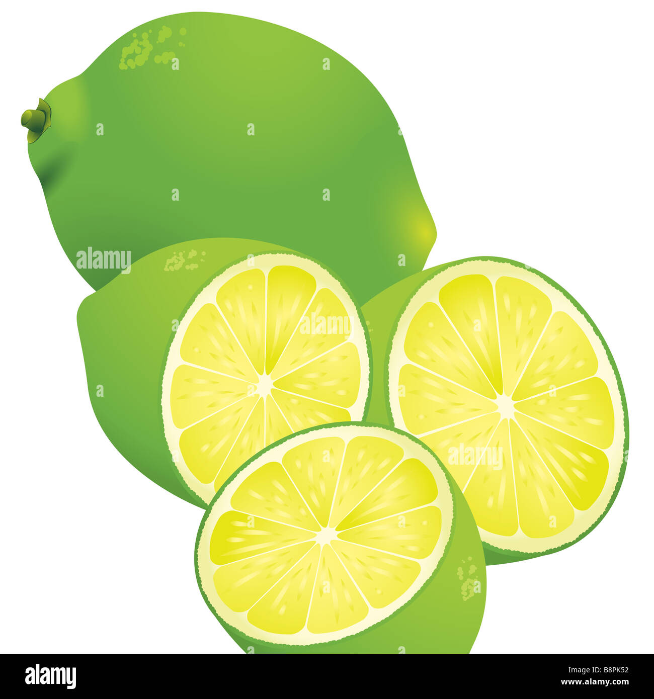 illustration of sliced green lemon isolated on white background Stock ...