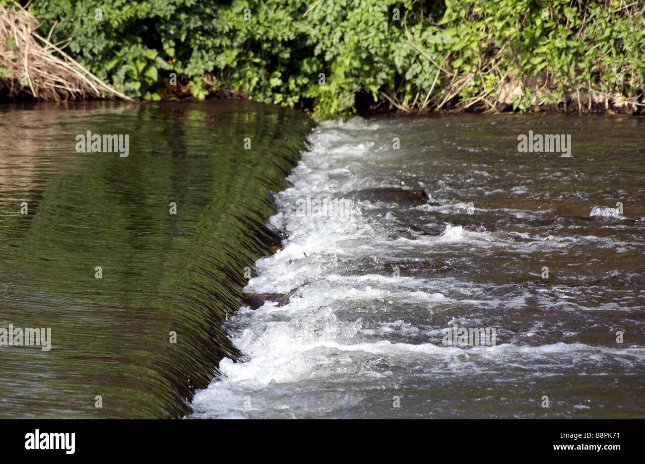 Wier on Tilford Stream Stock Photo - Alamy