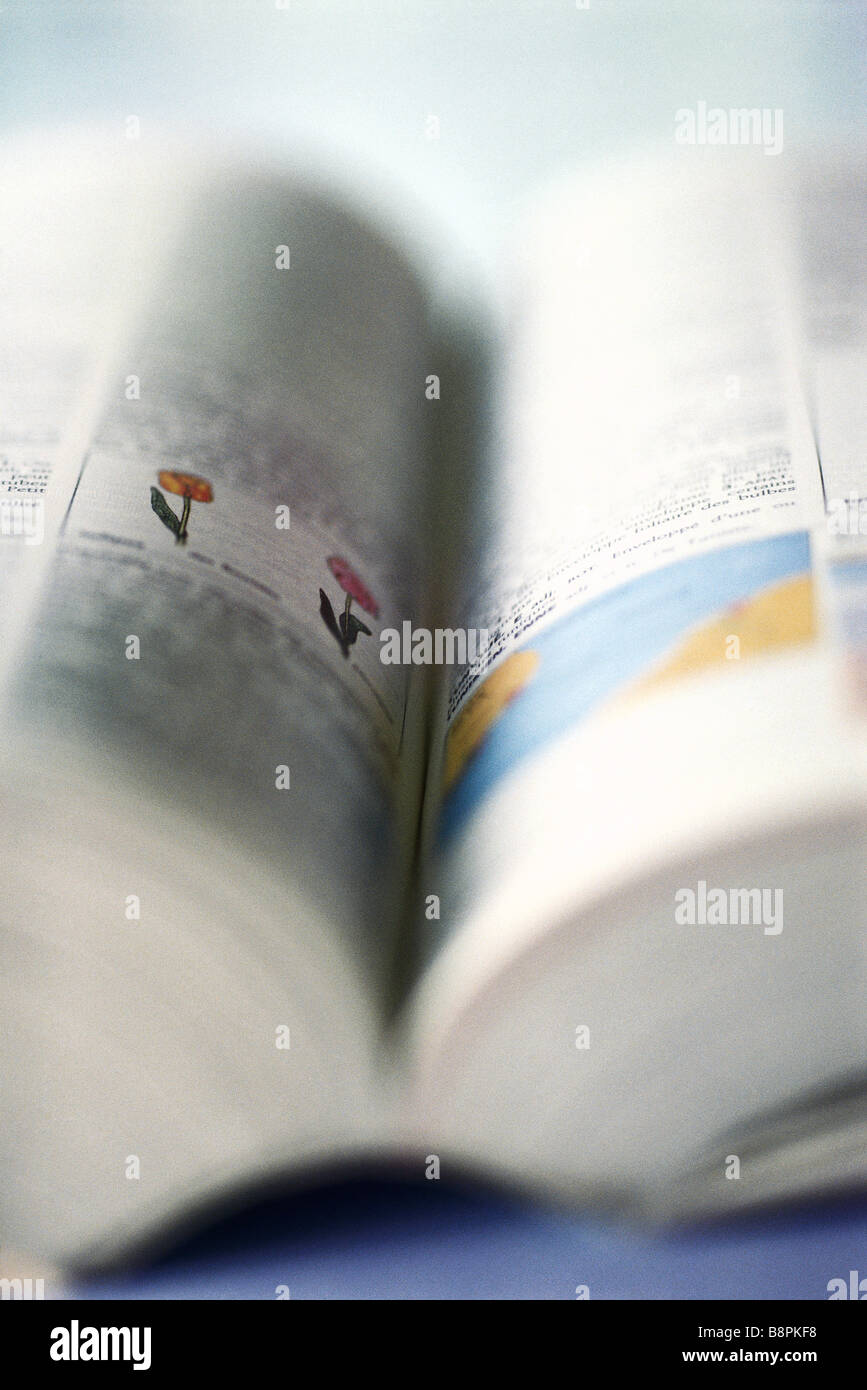 Reference book, opened Stock Photo - Alamy