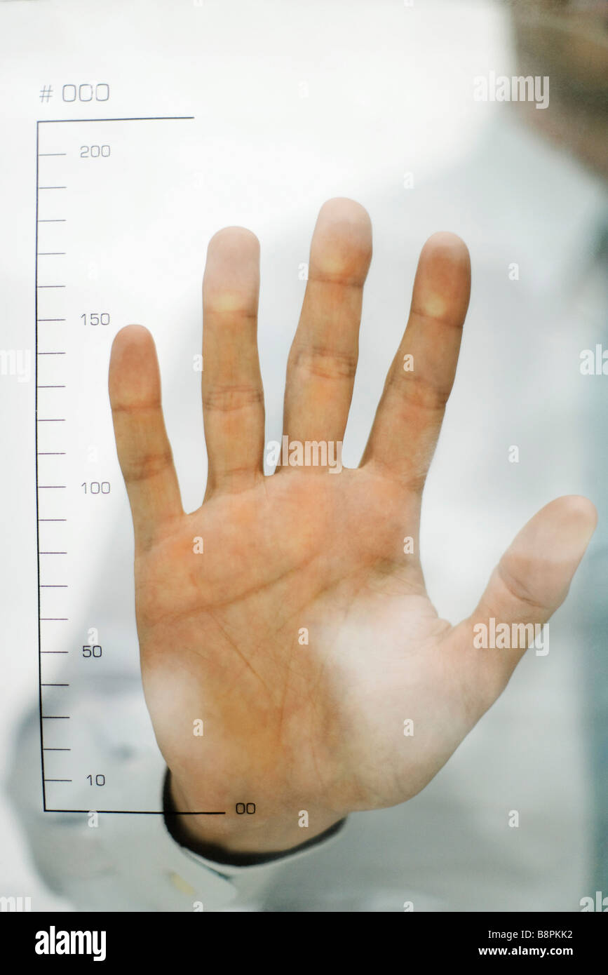 Man holding hand up to ruler Stock Photo - Alamy