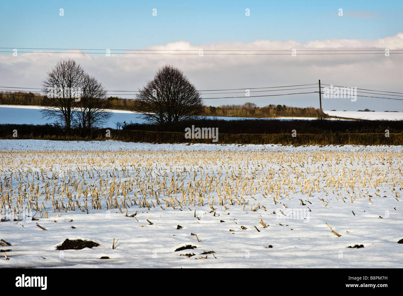 Salisbury snow wiltshire hi-res stock photography and images - Alamy