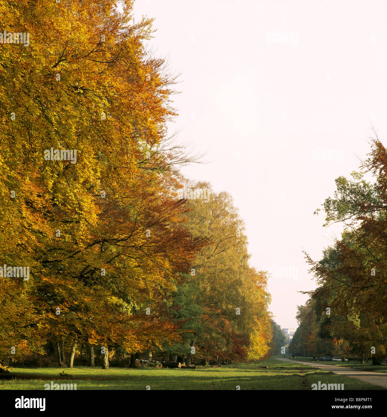 Ashridge Estate Walking High Resolution Stock Photography and Images ...