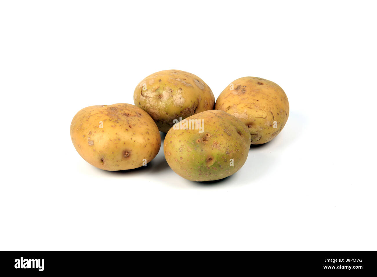 White potatoes staple food of the western world against a white ...